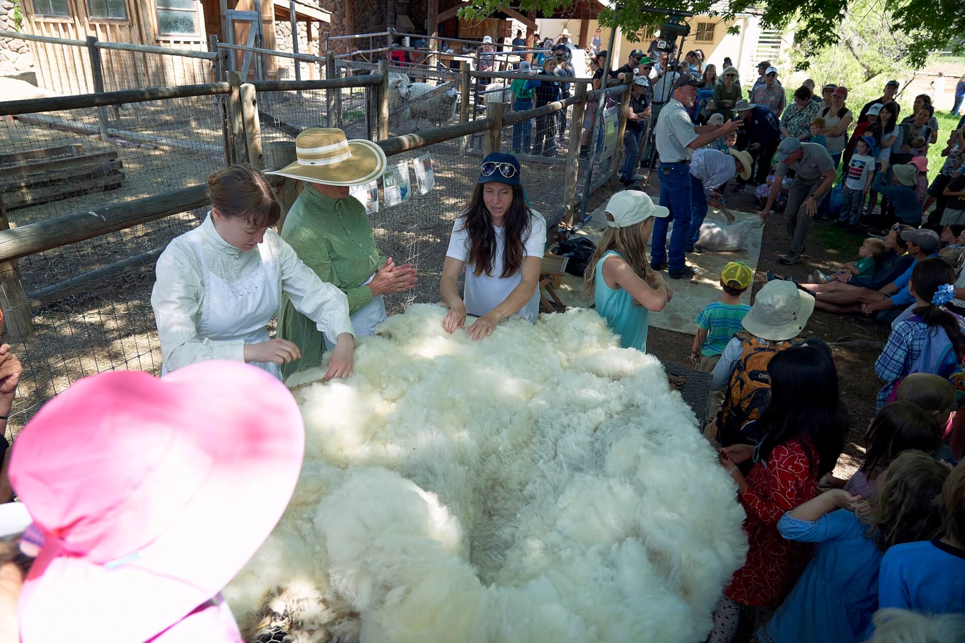 Home | A diverse outdoor museum bringing Pikes Peak history to life!